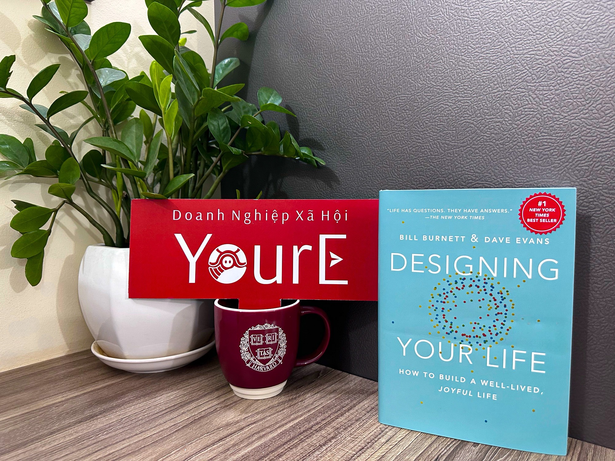Designing your life - Tổ chức Xã Hội Giáo Dục & Đào Tạo YOUREORG